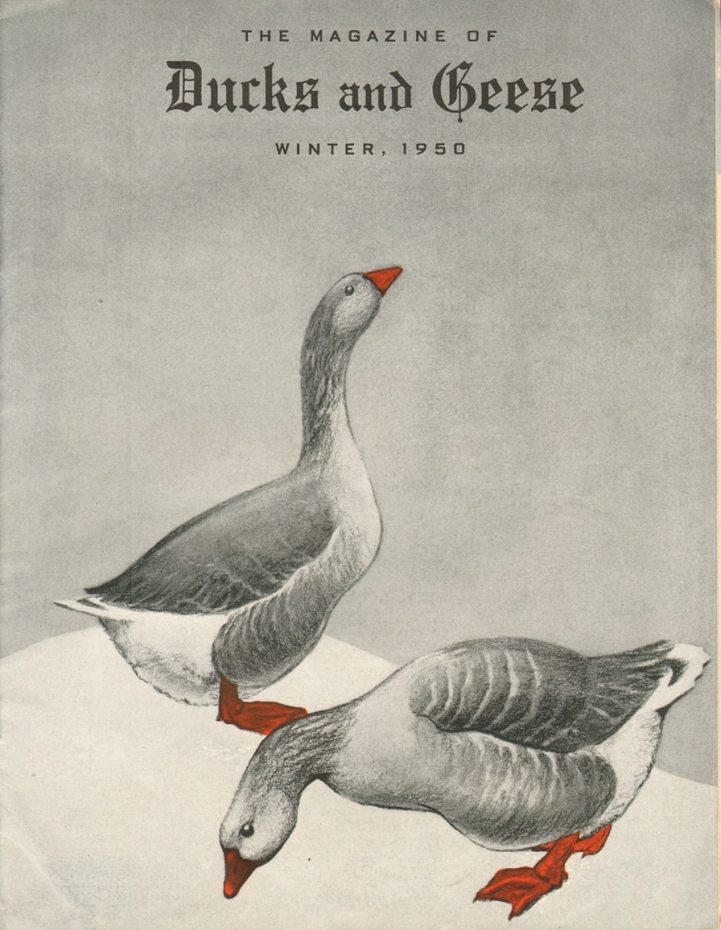 Magazine of Ducks and Geese | The Steven Lomazow Collection